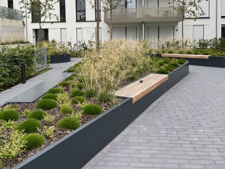 AURELIUS Insights: Greenovis - AURELIUS